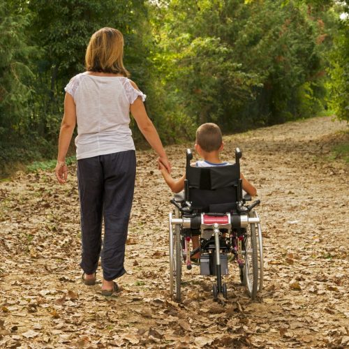 Attendant Power Assisted Add-On Wheelchair Power Add-Ons - Recare